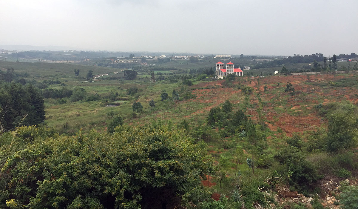 Yunnan Red Wine from Mile and Shangri-La - international varietals